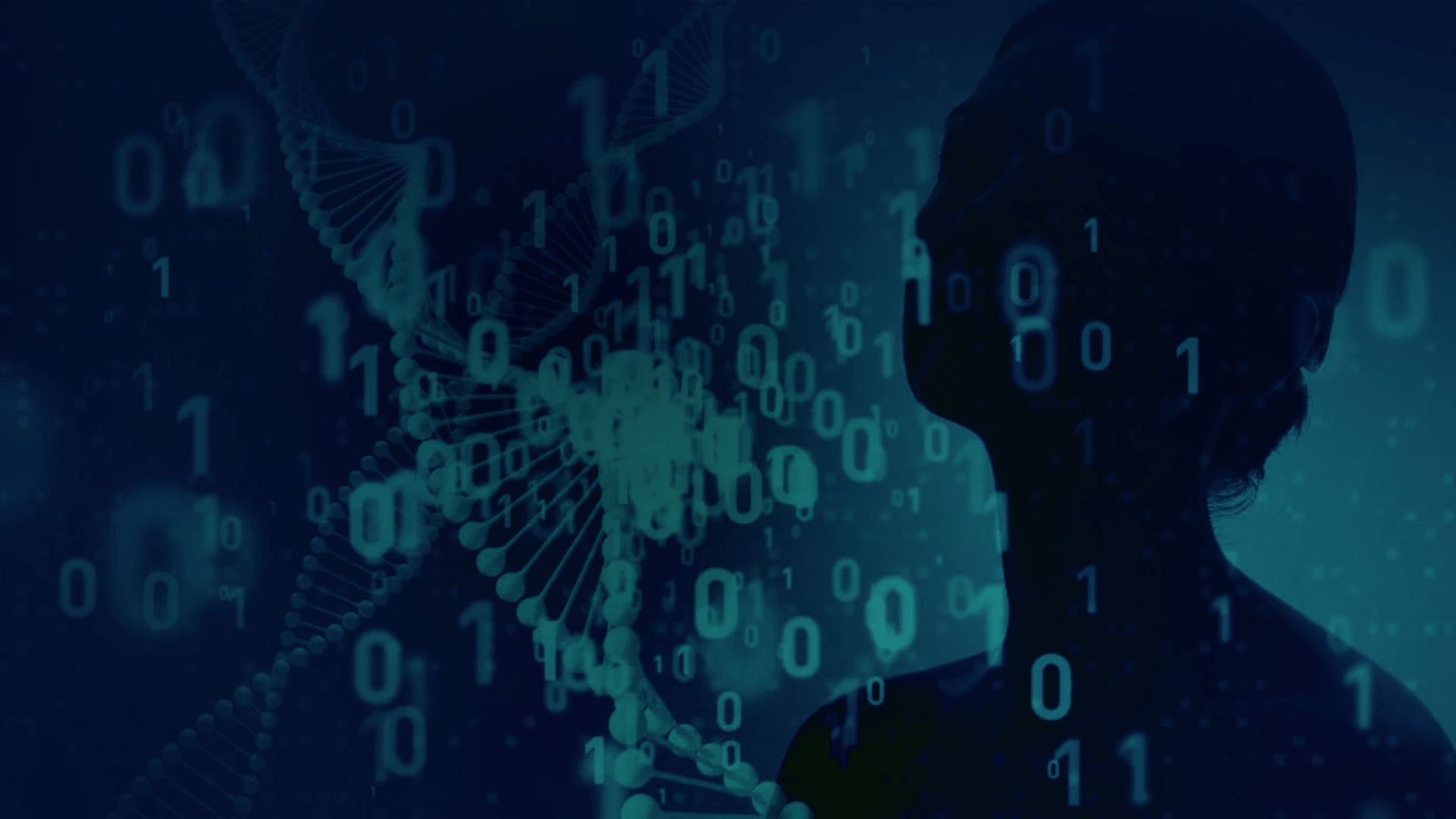 Agile Capital Markets